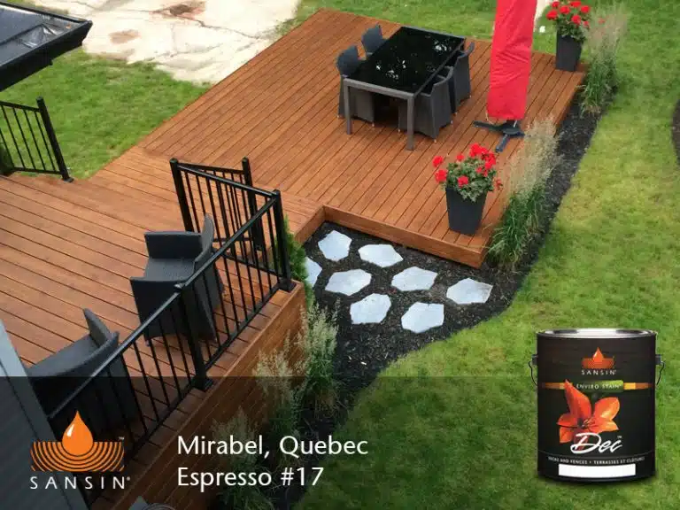 DEC | The Sansin Corporation