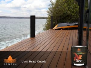 DEC | The Sansin Corporation